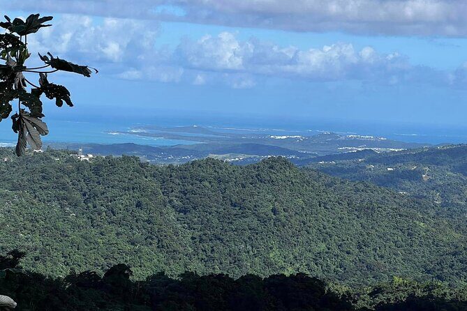 Private Guided Tour in Puerto Rico - Frequently Asked Questions (FAQs)