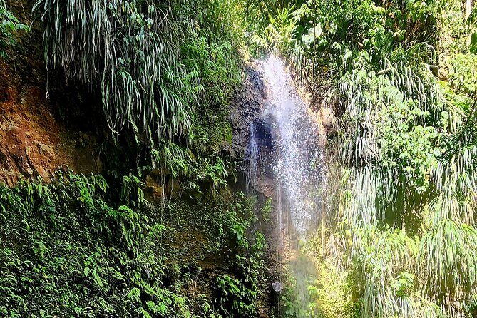 Private Guided Tour in Soufriere with Transfers and Lunch - Key Points