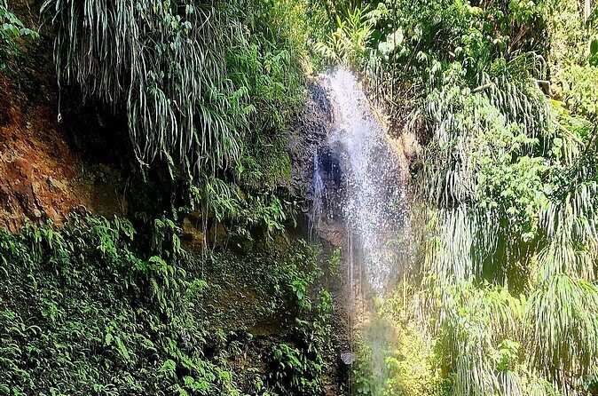 Private Guided Tour in Soufriere with Transfers and Lunch - FAQ