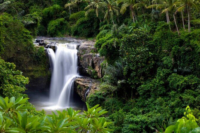 Private Guided Tour in Ubud - Who Is This Tour Best For?