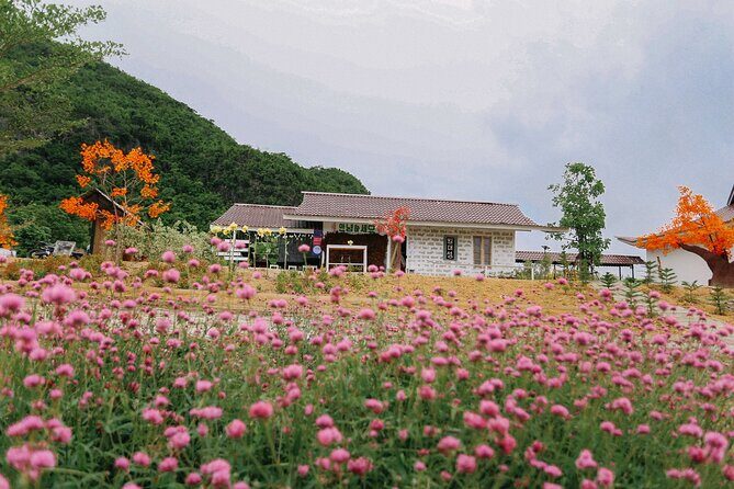 Private Guided Tour Kanchanaburi Wellness World and Cafe Hop - FAQ