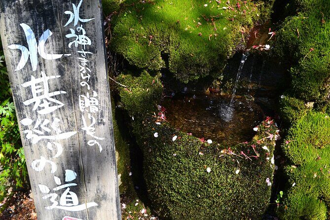 Private guided tour: Mt. Aso volcano, grasslands, Aso Shrine - An Introduction to the Tour Experience