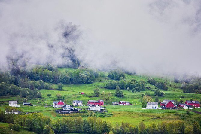 PRIVATE GUIDED TOUR: Norway's Highlights  Viking Special, 11-12 hours  WINTER - Who This Tour Is Best For