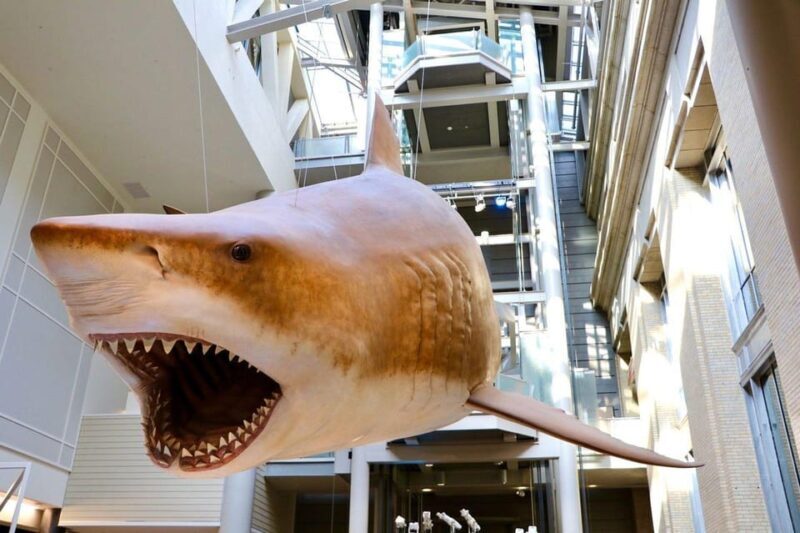 Private Guided Tour of The Natural History Museum - Key Points