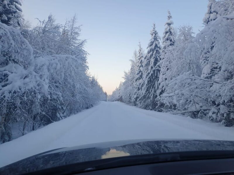 Private Guided Tour Rovaniemi To Kakslauttanen /Saariselka - Who Should Consider This Tour?
