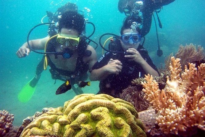Private Guided Tour Scuba Diving At Marine Protected Area Included Lunch - Key Points
