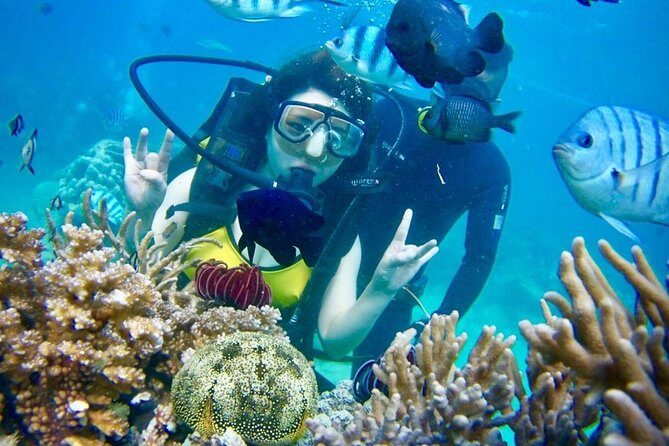 Private Guided Tour Scuba Diving At Marine Protected Area Included Lunch - Final Thoughts