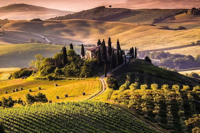 Private guided tour: Siena San Gimignano and Chianti - An In-Depth Look at the Experience