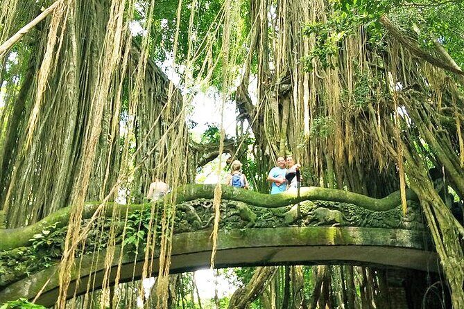 Private Guided Tour: The Best Of Ubud With Jungle Swing - The Value of This Tour