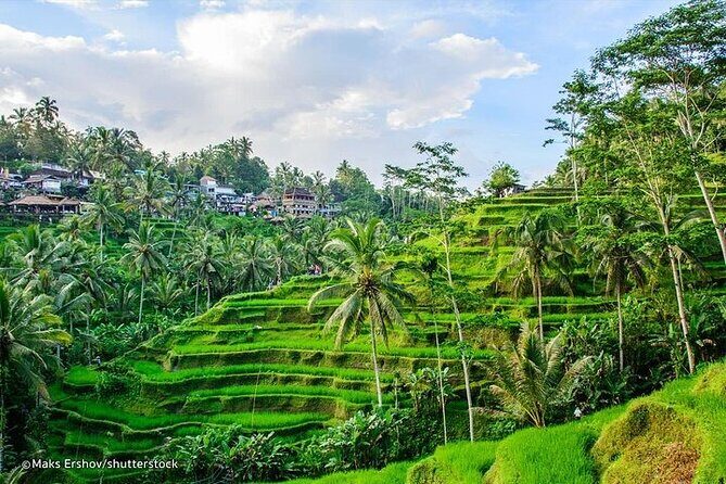 Private Guided Tour: The Best Of Ubud With Jungle Swing - Authentic Encounters and Personalities