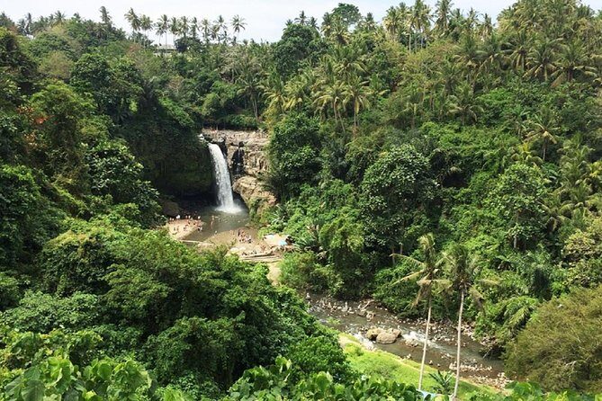 Private Guided Tour: The Best Of Ubud With Jungle Swing - Who Will Benefit Most?