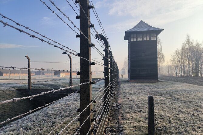 Private Guided Tour to Auschwitz & Birkenau from Krakow - Pricing & Value