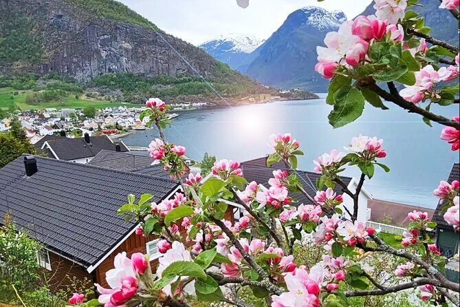 Private Guided Tour to Oslo Nærøyfjord Cruise and Flåm Railway - Scenic Climb to Oslo