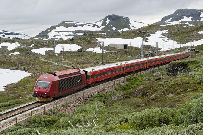 Private guided tour to Oslo - Nærøyfjord Cruise & Flåm Railway - Exploring Aurlandsfjord and Flåm