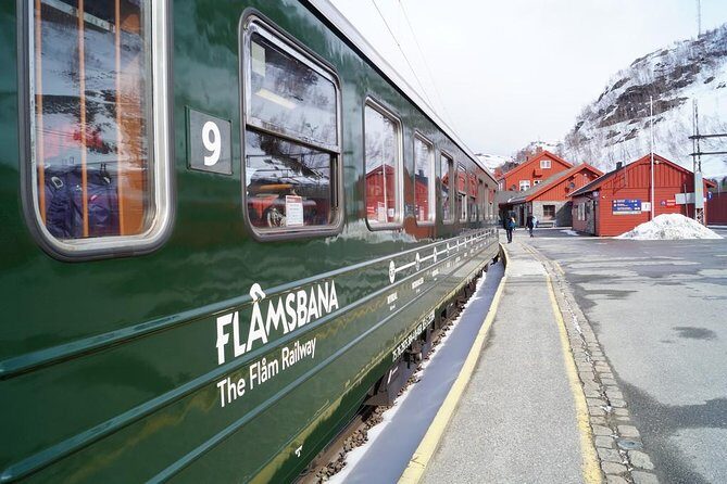 Private guided tour to Oslo - Nærøyfjord Cruise & Flåm Railway - Practical Details and What You Can Expect