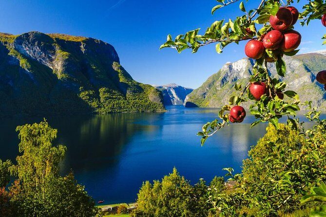 Private guided tour to Oslo - Nærøyfjord Cruise & Flåm Railway - Authentic Experiences and Unique Highlights