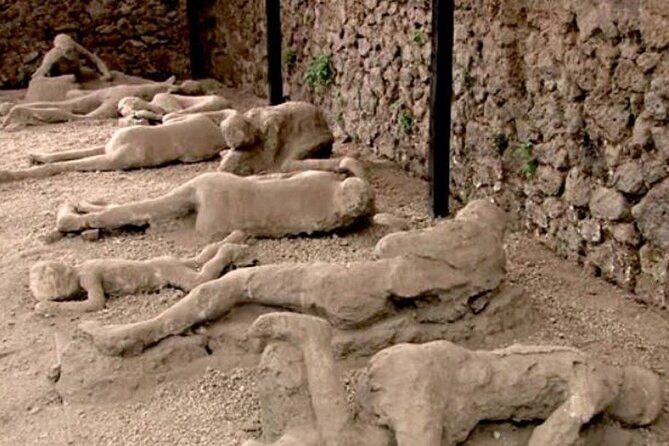 Private Guided Tour to Pompeii and Positano from Rome - Authentic Reviews from Travelers