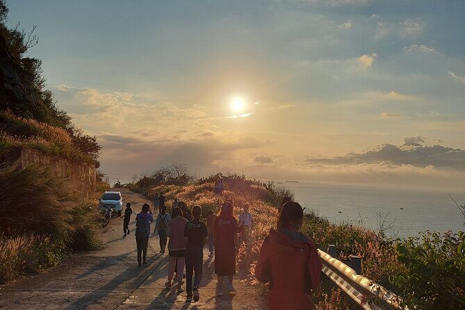 Private Guided Tour To The Wild of Son Tra With Photography - Why This Tour Is a Great Fit