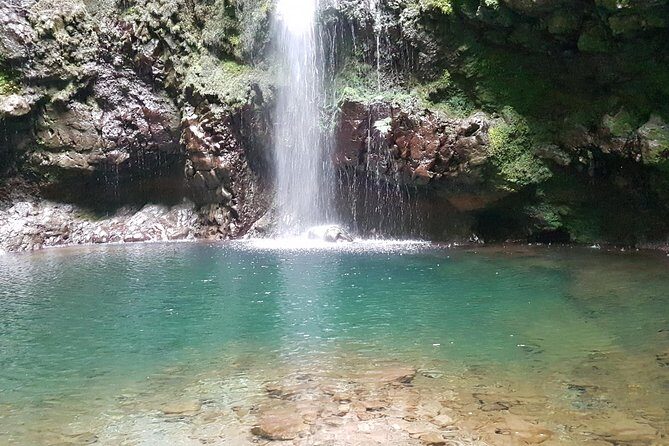 Private Guided Walk Levada Caldeirao Verde - Why This Tour Offers Real Value