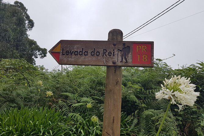 Private Guided Walk Levada do Rei - What to Expect During the Tour