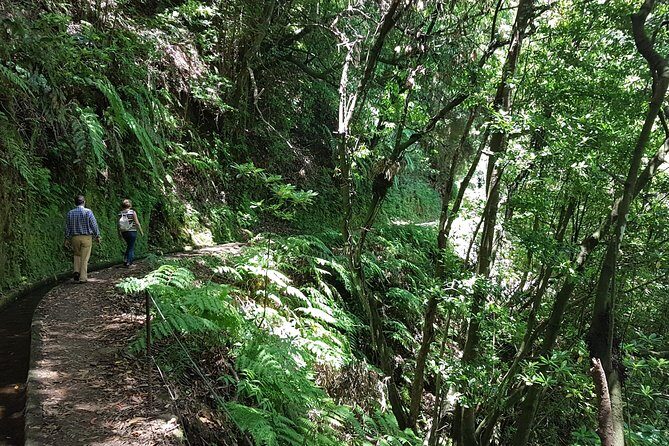 Private Guided Walk Levada do Rei - Frequently Asked Questions