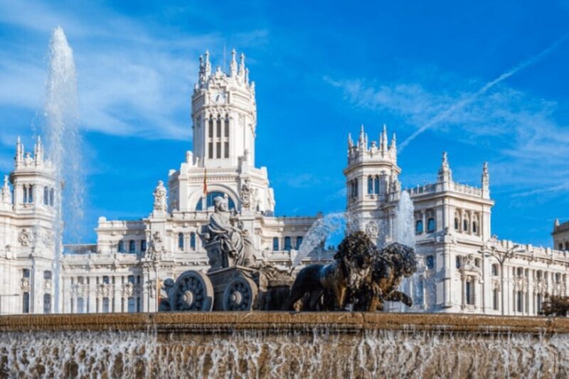 Private Guided Walking Tour in Madrid - Key Points