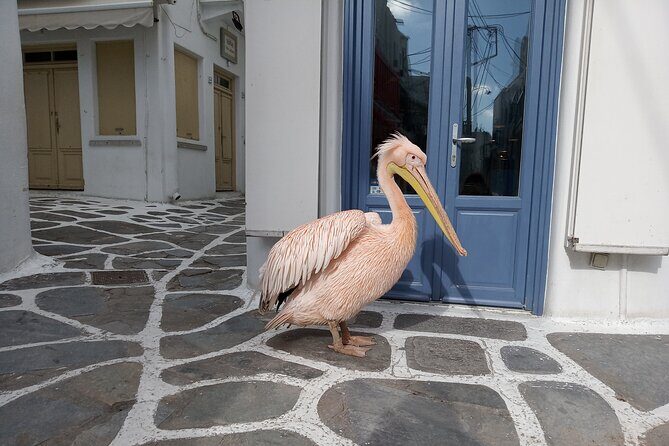 Private Guided Walking Tour in Mykonos Town - Discovering Mykonos: A Detailed Look at the Private Guided Walking Tour