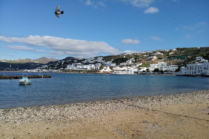 Private Guided Walking Tour in Mykonos Town - In The Sum Up: Is This Tour Worth It?