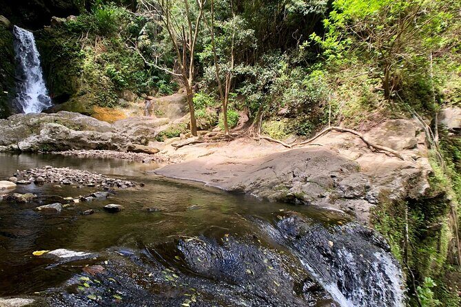 Private Guided Waterfall Hike Rainforest Adventure - Who Should Consider This Tour?
