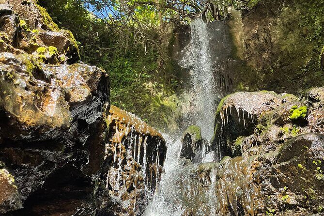 Private Guided Waterfall Hike Rainforest Adventure - The Sum Up