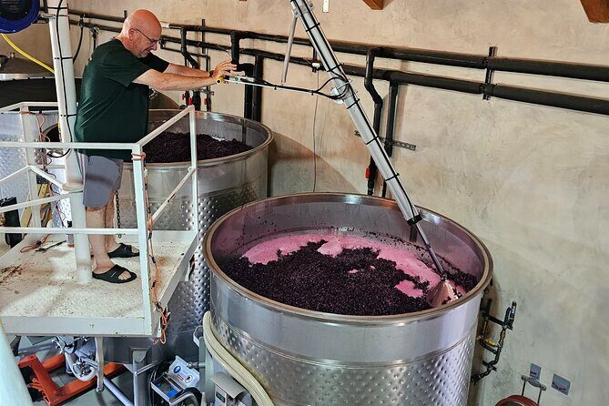 Private Guided Wine Tour of Napa Valley - The Value of Guided, Personalized Service