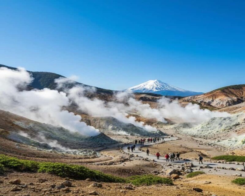 Private Hakone Day Escape from Tokyo with Scenic Stops - The Convenience of Pickup and Private Transport