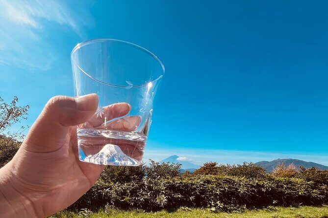 Private Hakone Full-day Car Tour with Hotel Pickup - Local Guide - A Deep Dive into the Hakone Experience