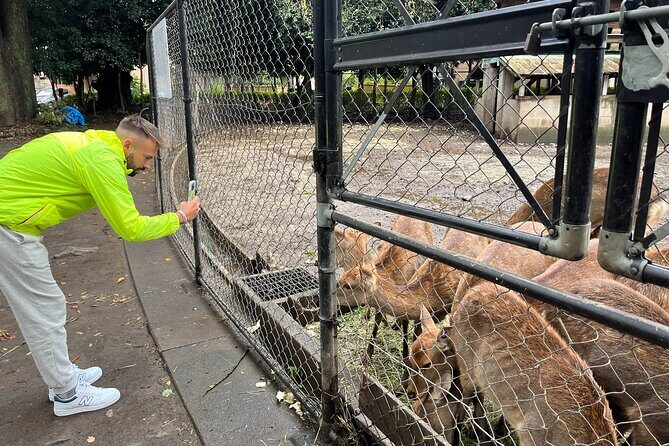 Private Hakone Full-day Car Tour with Hotel Pickup - Local Guide - FAQ