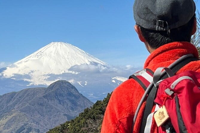 Private Hakone Half-day Tour with Hotel Pickup and Japanese guide - Historical and Natural Stops