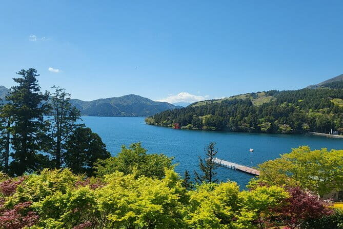 Private Hakone Tour from Tokyo - Detailed Itinerary Breakdown