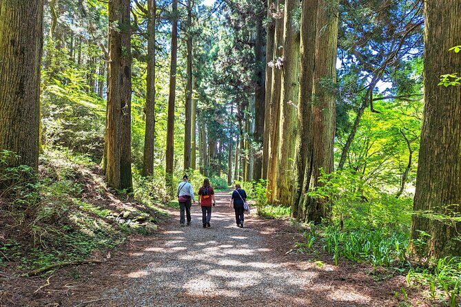 Private Hakone Tour - View of Mt. Fuji, Nature and Culture - An In-Depth Look at the Tour Itinerary