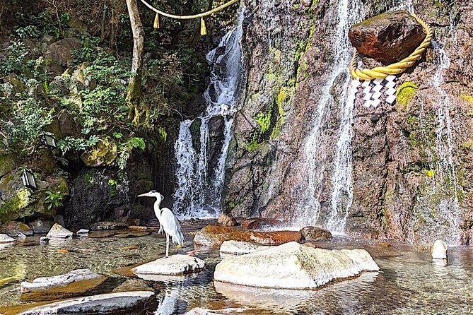 Private Hakone Tour - View of Mt. Fuji, Nature and Culture - Practical Considerations