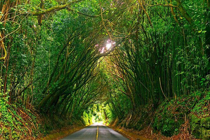 Private Haleiwa and Grand Circle Island Day Trip in Oahu - The Sum Up: Who Should Consider This Tour?