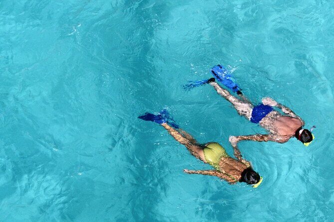 Private Half Day Afternoon Snorkel and Cruise on Serendipity - FAQs