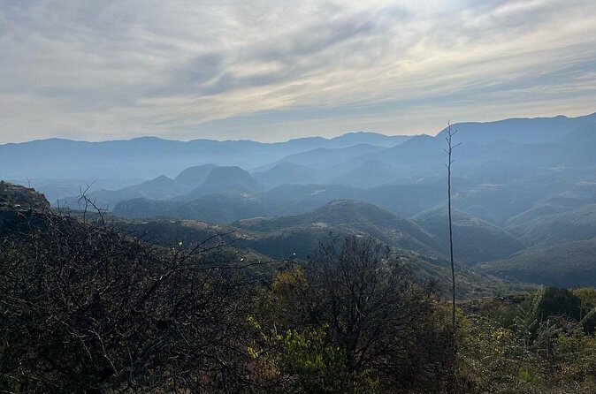 Private Half Day Bird Watching Experience - Key Points