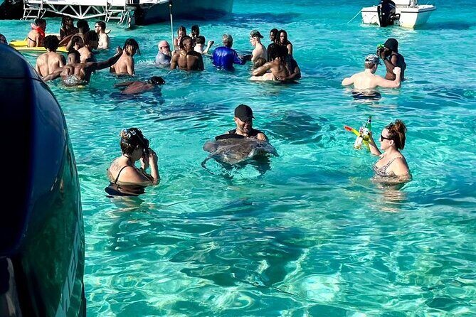 Private Half Day Boat Tour, 3 locations of your choice - In The Sum Up: Who Will Love This Tour?