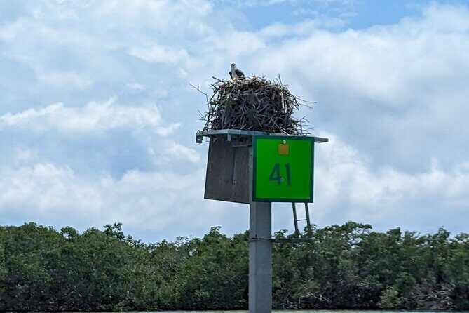 Private Half Day Boat Tour in Sarasota, Florida - Why It’s Worth Considering