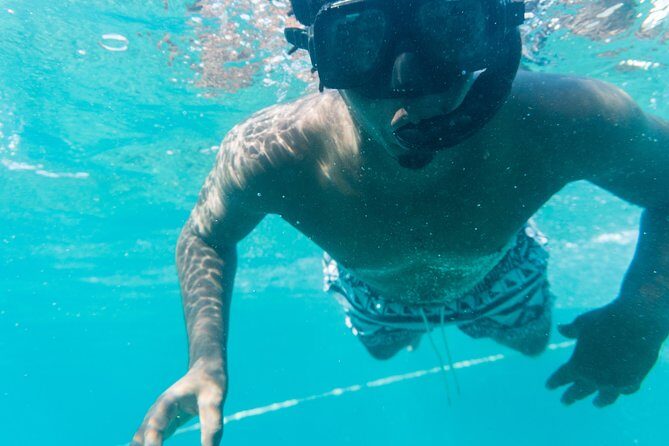 Private Half Day Catamaran Charter - The Itinerary: What Can You Expect During the Trip?