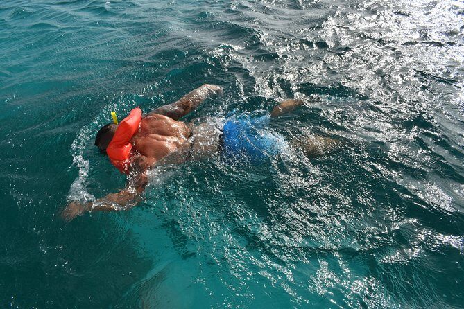 Private Half Day Charter - The Itinerary and What You Can Expect