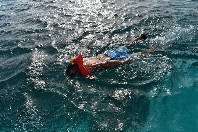 Private Half Day Charter - The Sum Up