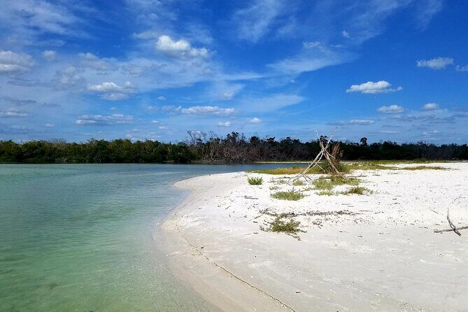 Private Half-Day Charter Tour in Naples, Florida - Who Should Consider This Tour?