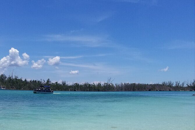 Private Half-Day Charter Tour in Naples, Florida - The Sum Up