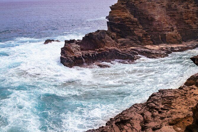 Private Half-Day Circle Island Highlights Tour in Oahu - Who Would Love This Tour?