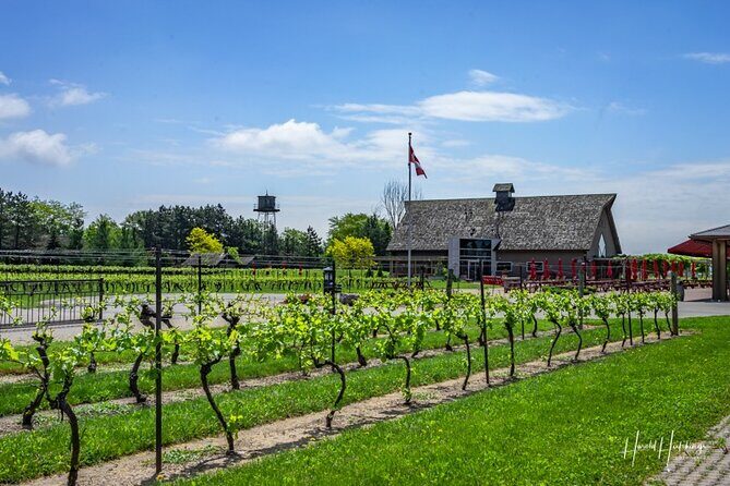Private Half-Day Custom Wine Tasting Tour of Niagara-on-the-Lake - Price Analysis and Value